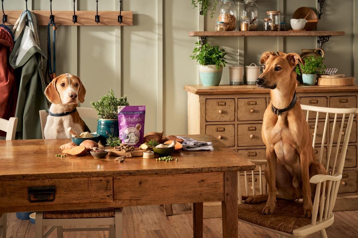 British Pets Supplies | UK Pet Food & Accessories Online Store